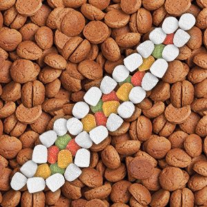 Dé kledingwinkel van Sinterklaas en Piet! | Pietenland | Pietenland